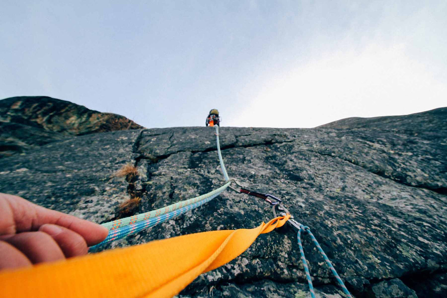Carabiner EN12275 vs EN362 vs EN365, UIAA & CE — Explained – Freevane ...